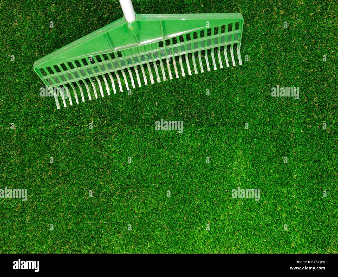 Sunlit garden artificial grass hi-res stock photography and images - Alamy