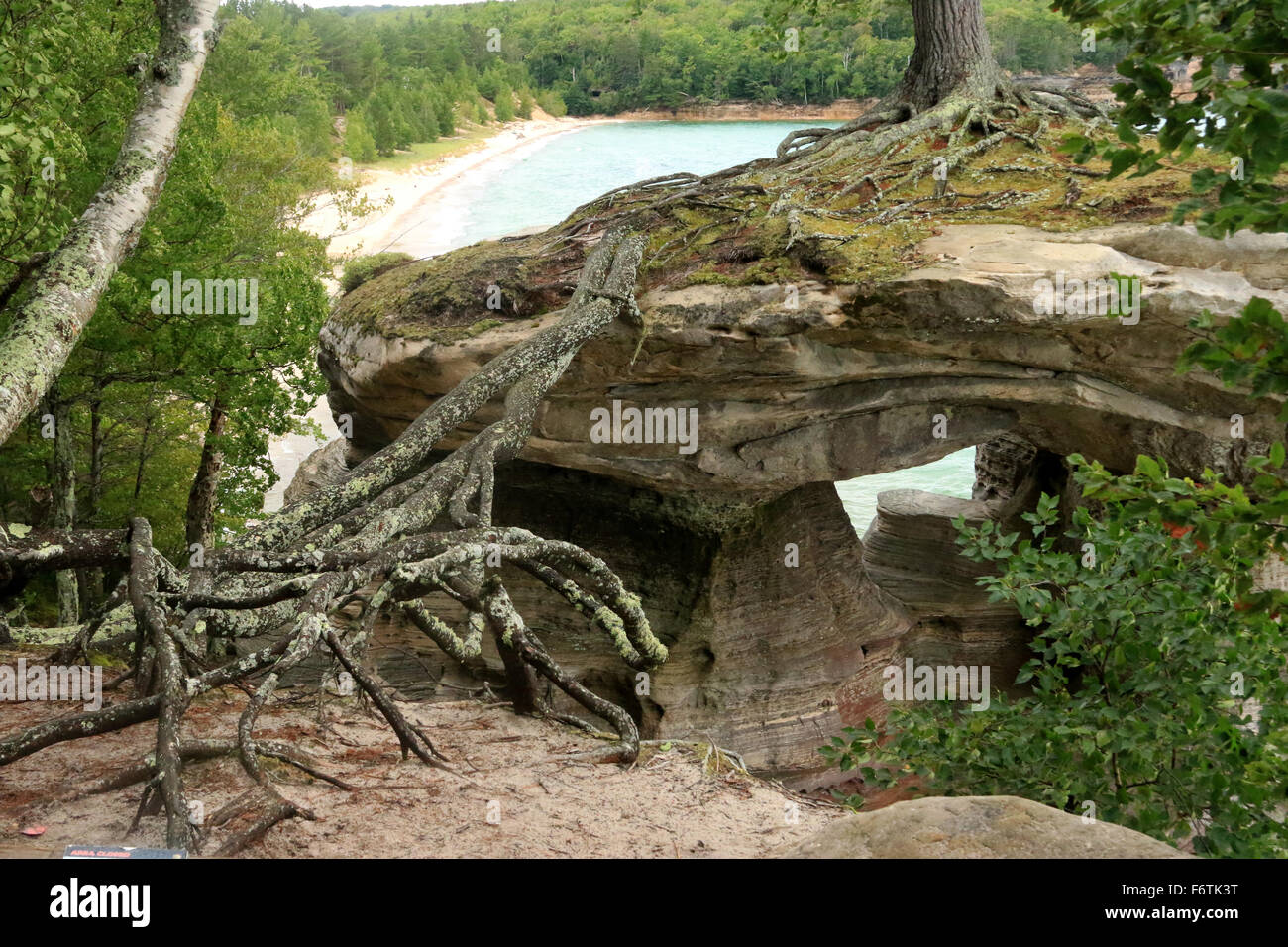 Exposed tree roots pictured rocks hi-res stock photography and images ...