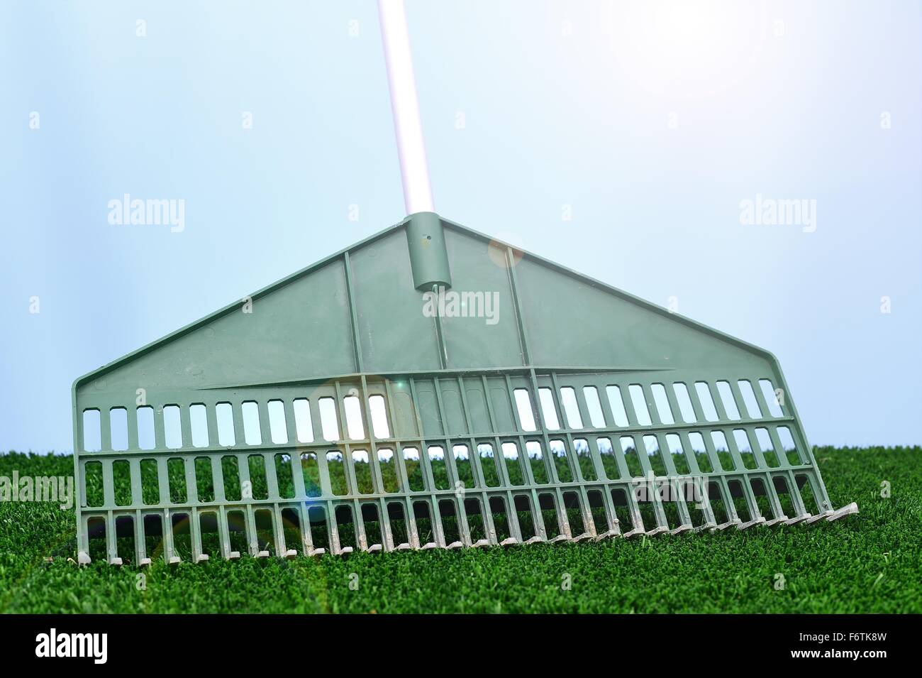 Sunlit garden artificial grass hi-res stock photography and images - Alamy