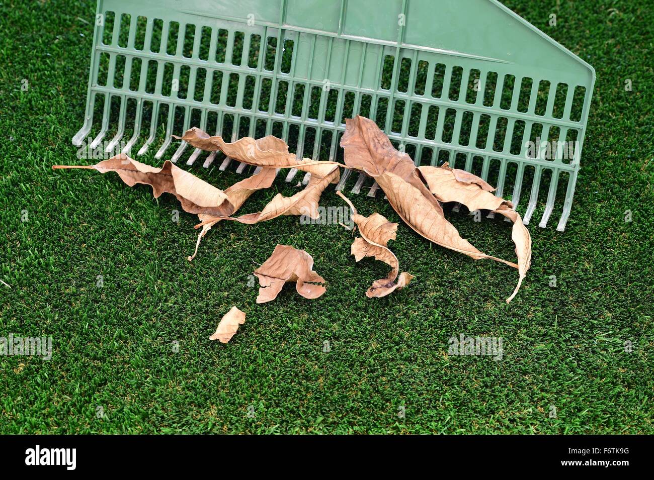 Sunlit garden artificial grass hi-res stock photography and images - Alamy