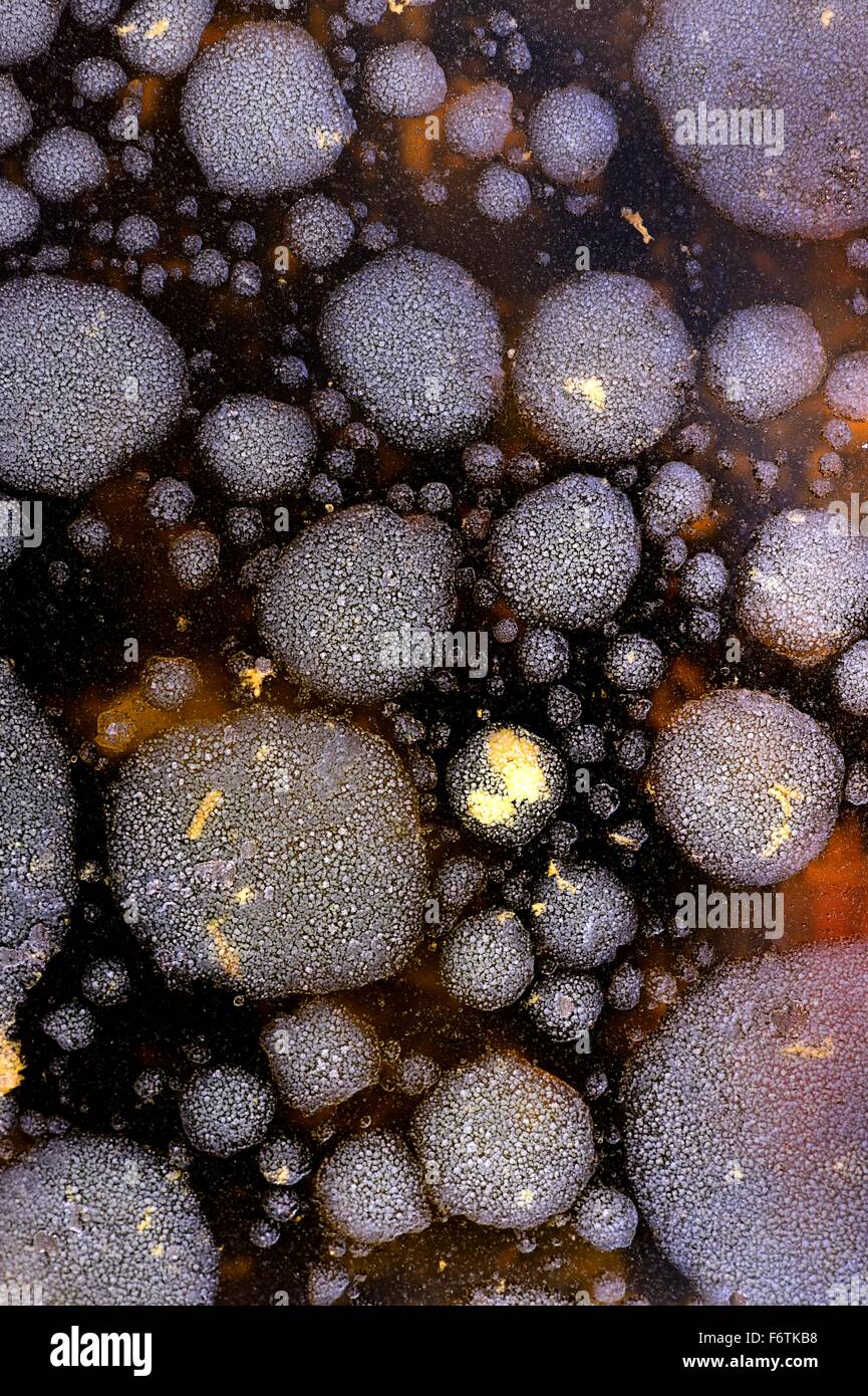 A close up studio photo of cooking fat Stock Photo - Alamy
