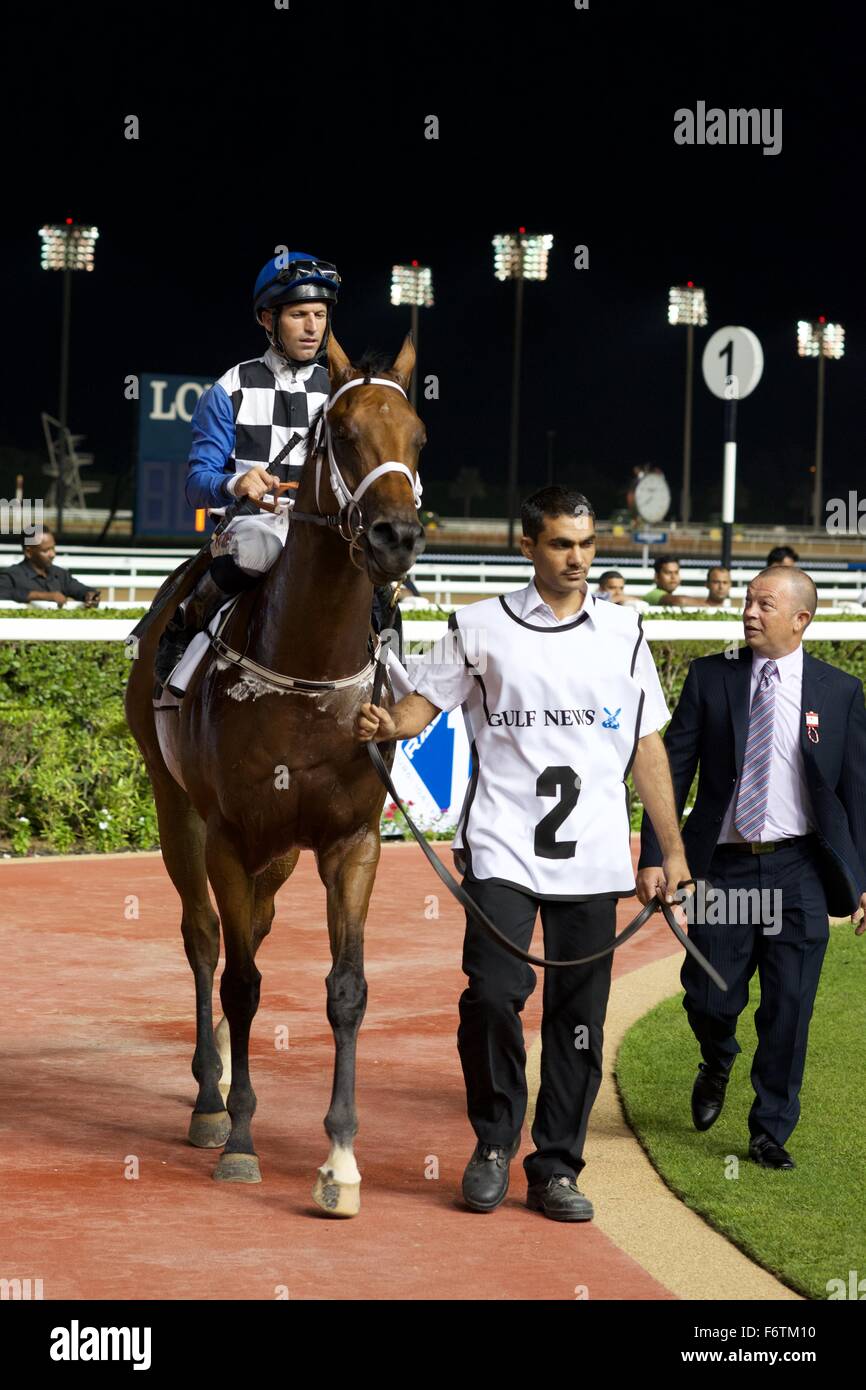 Flat race jockey pat dobbs hi-res stock photography and images - Alamy