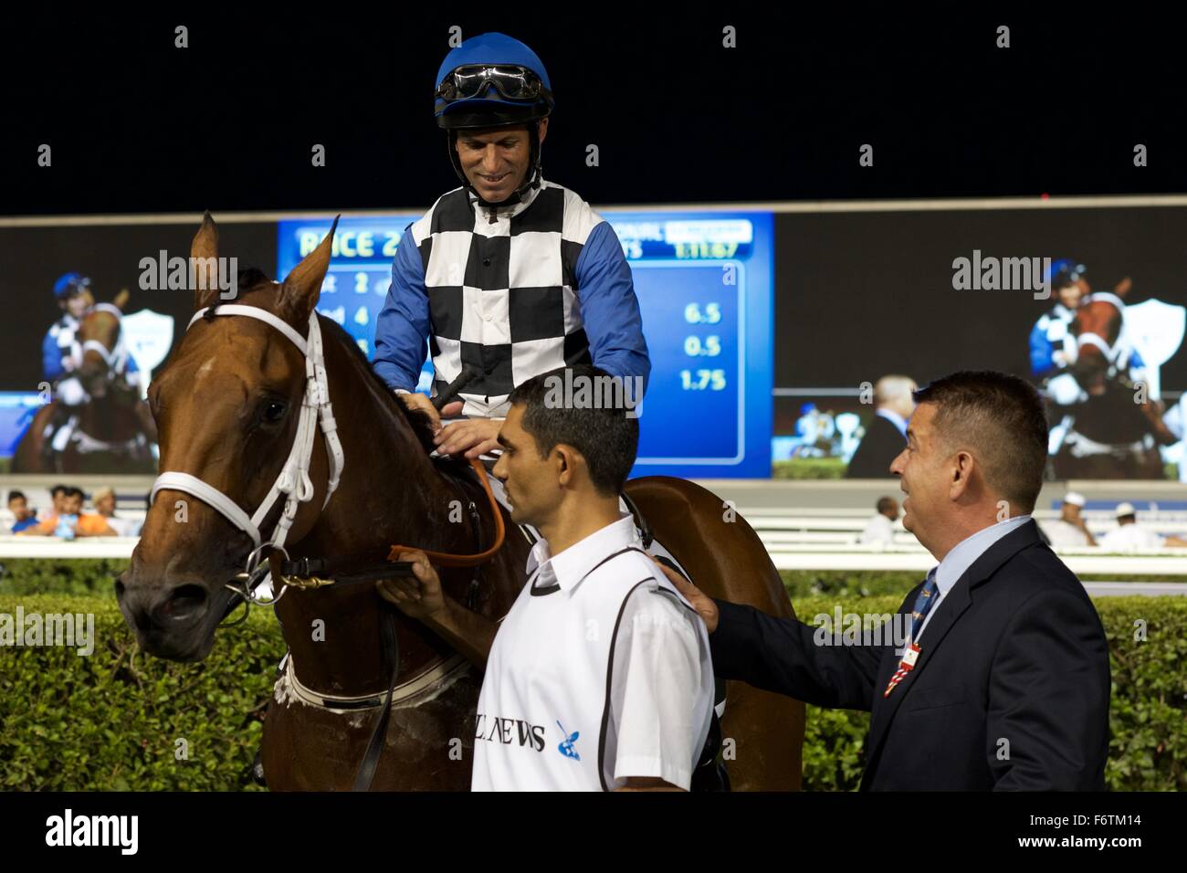 Flat race jockey pat dobbs hi-res stock photography and images - Alamy