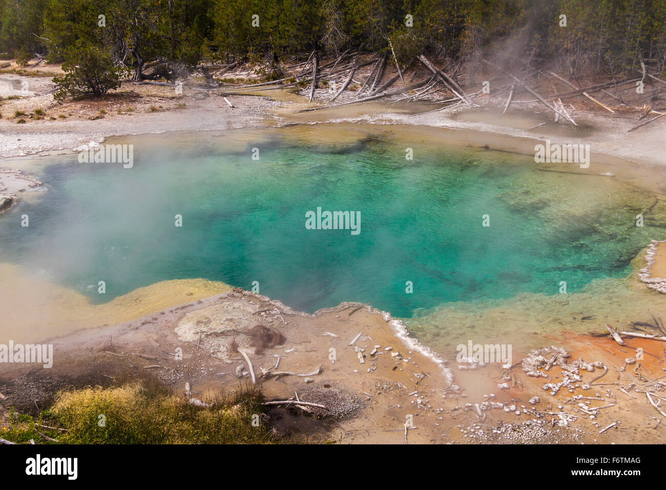 Turquoise pool in Yellowstone Stock Photo - Alamy