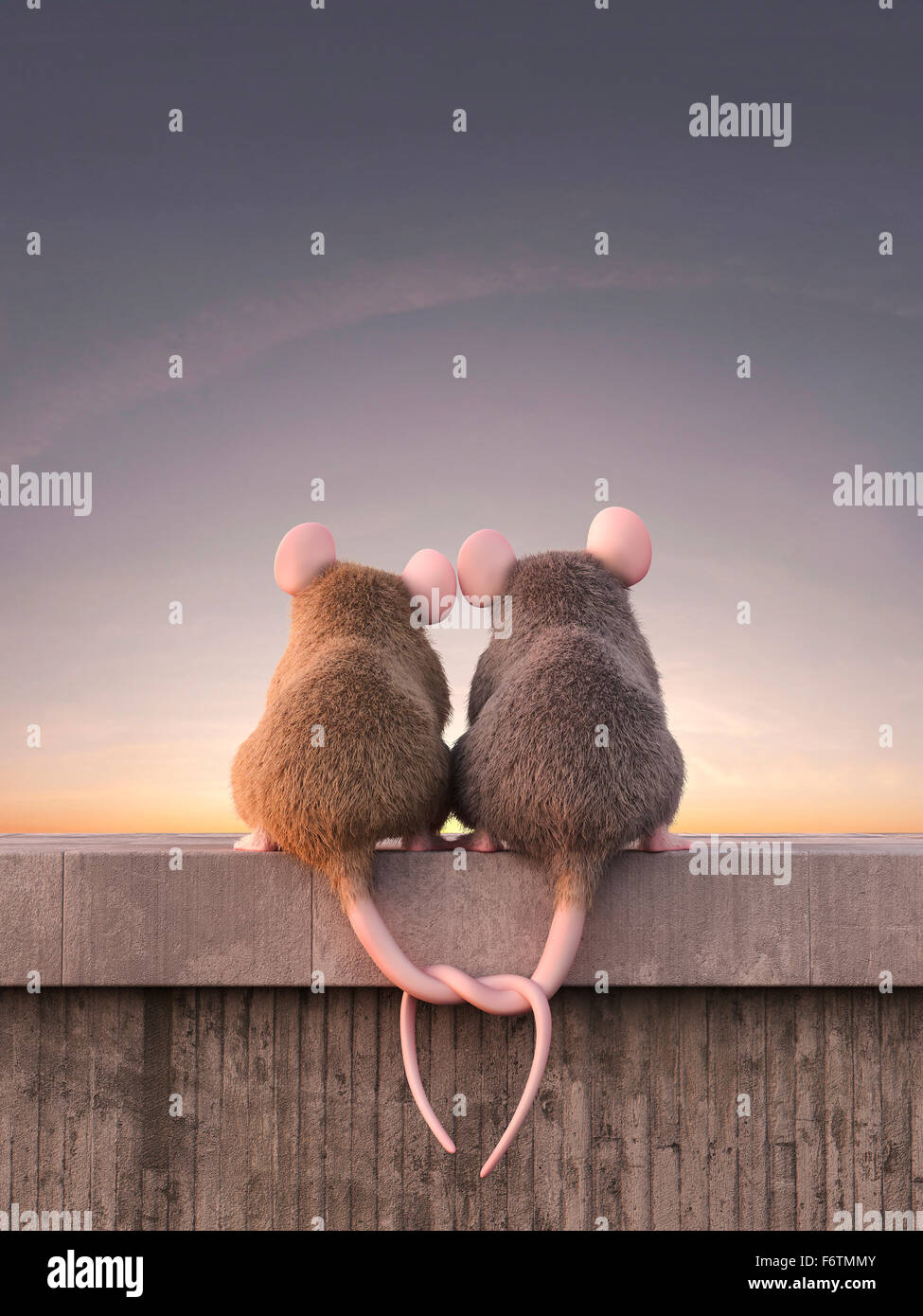 Two mice in love watching sunset, sitting on wall Stock Photo - Alamy