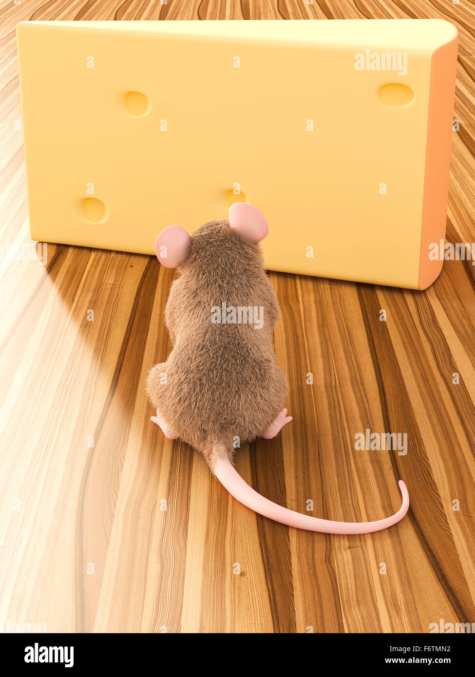 Mouse looking at piece of cheese Stock Photo - Alamy