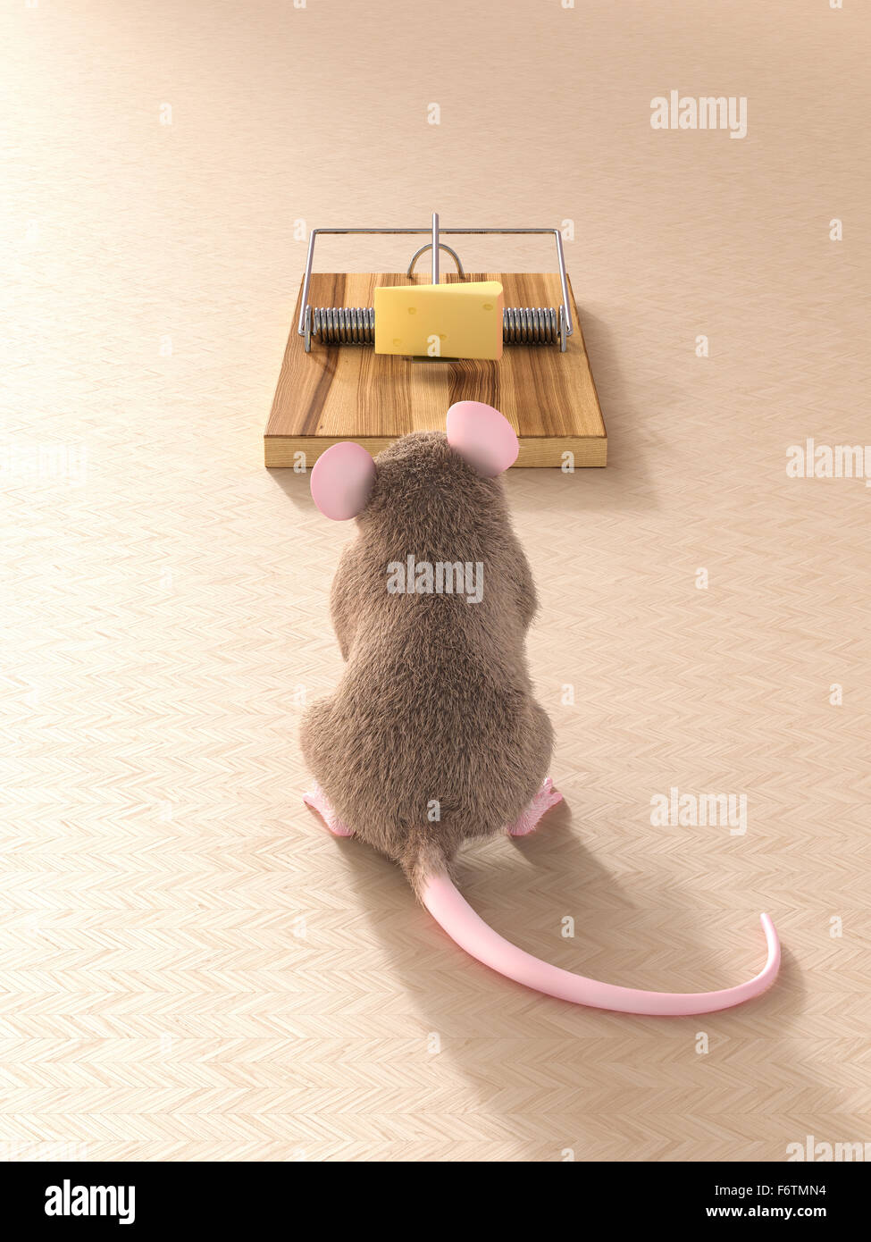 Hungry mouse hi-res stock photography and images - Alamy