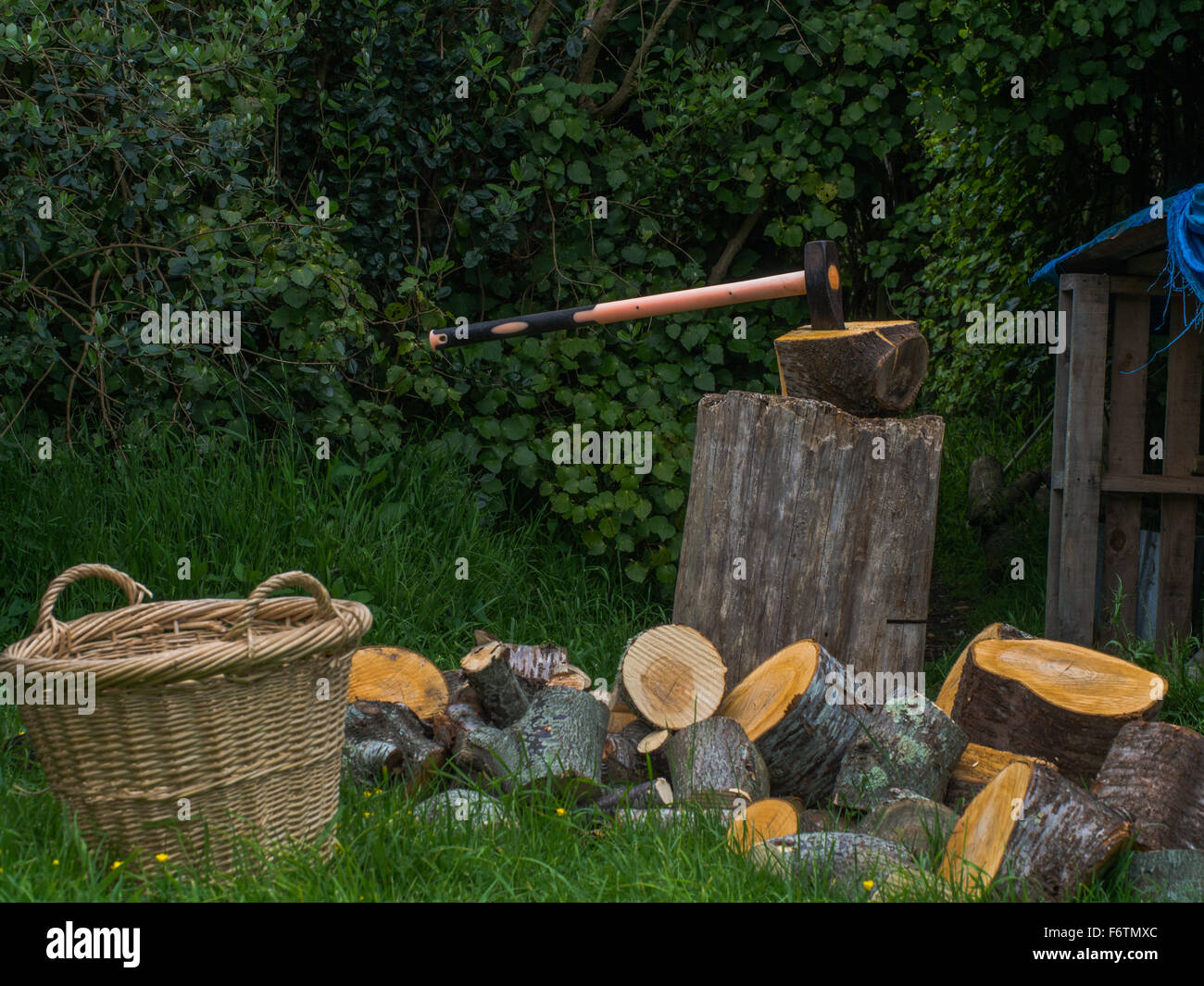 Spliting Logs for Firewood Stock Photo - Alamy