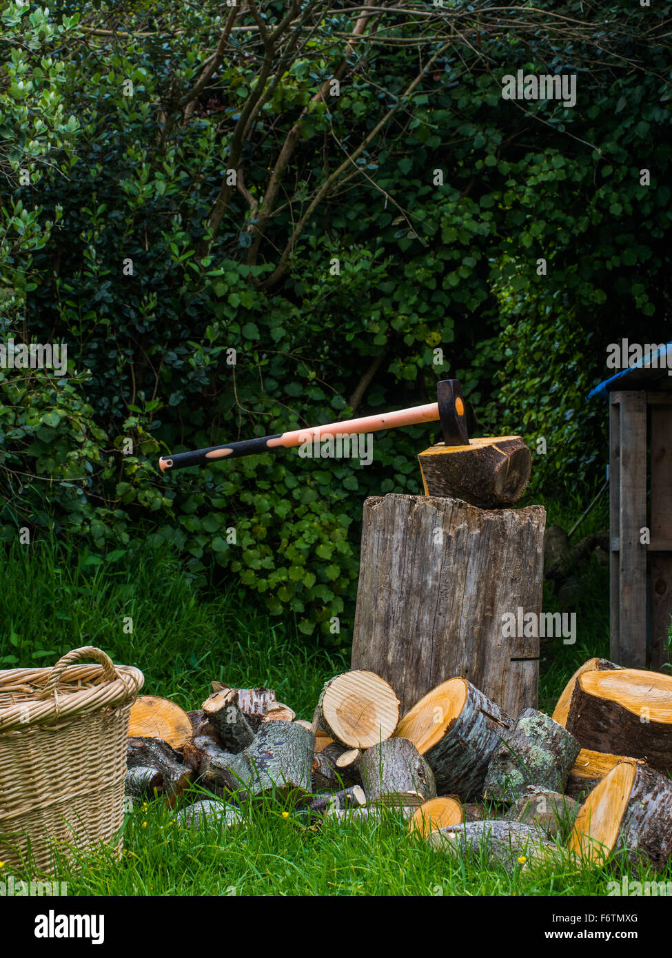 Spliting Logs for Firewood Stock Photo - Alamy