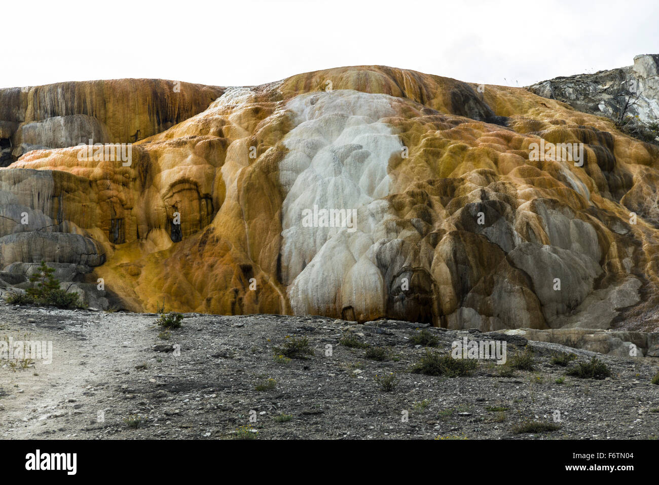 Orange grey landscape, Yellowstone Stock Photo - Alamy