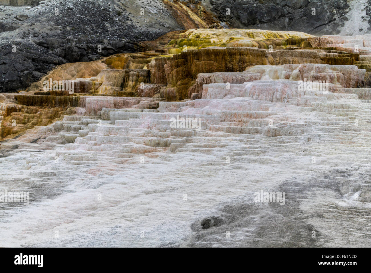 Orange grey landscape, Yellowstone Stock Photo - Alamy
