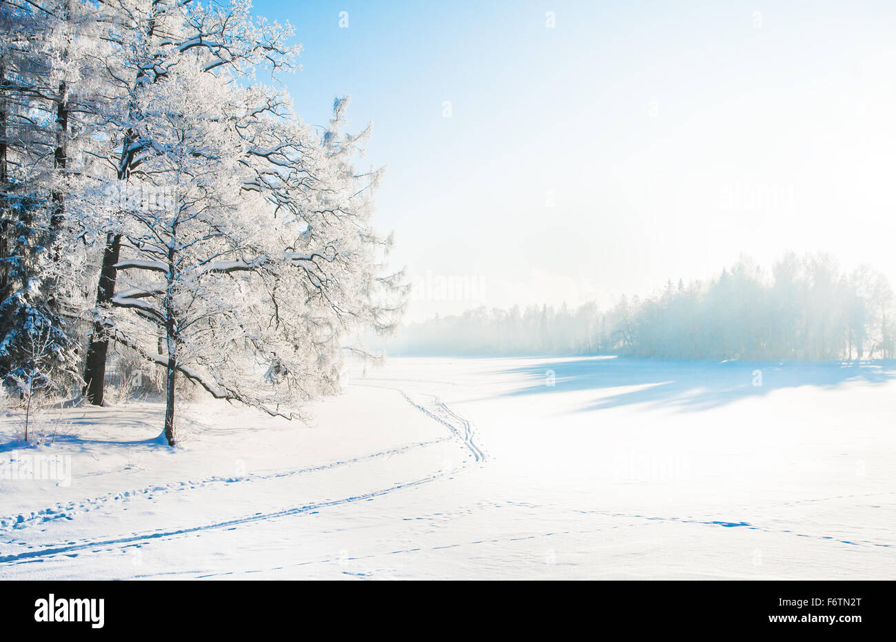 Winter park in snow Stock Photo - Alamy