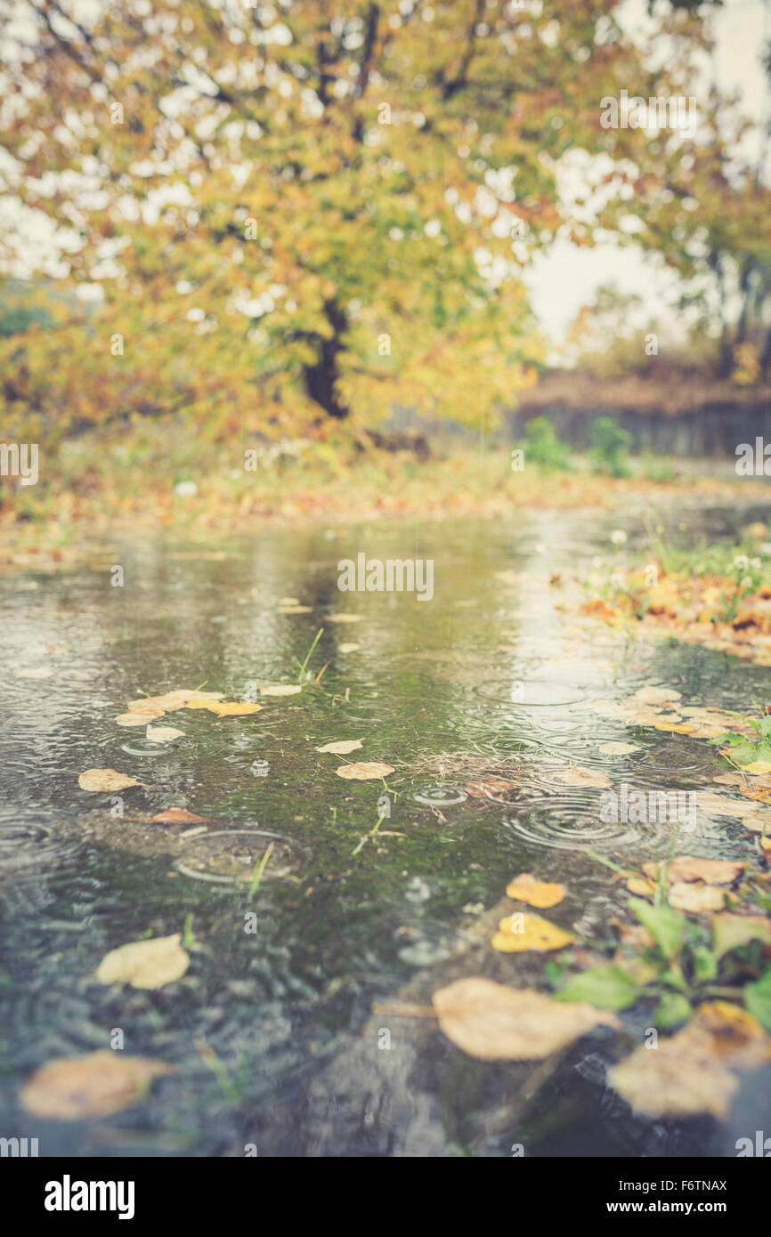 Falling In A Puddle High Resolution Stock Photography and Images - Alamy