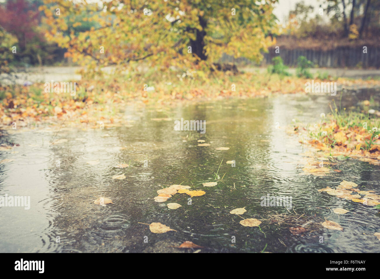 Rainy day in autumn Stock Photo - Alamy