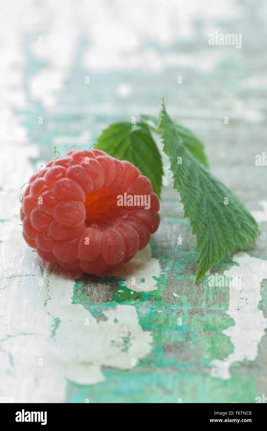 Raspberry with leaves hi-res stock photography and images - Alamy