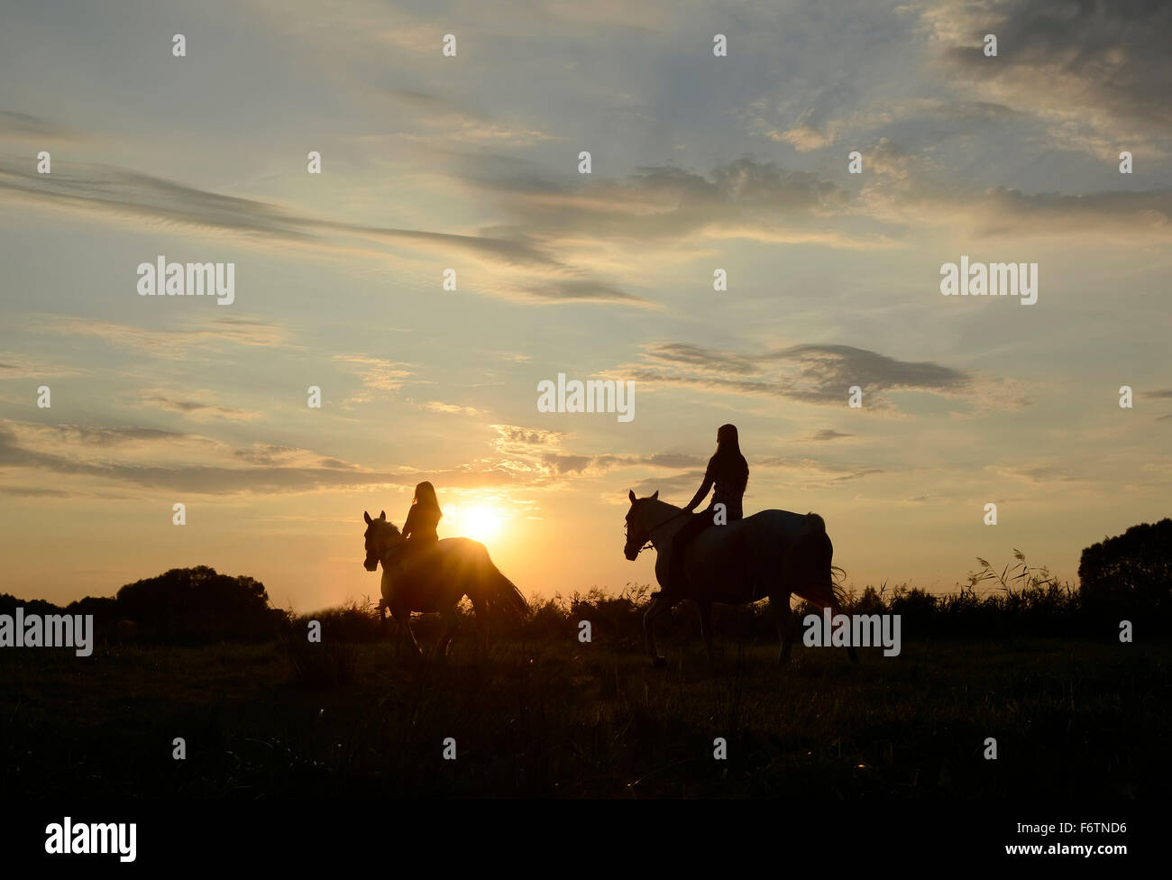 Two young women ride horse hi-res stock photography and images - Alamy