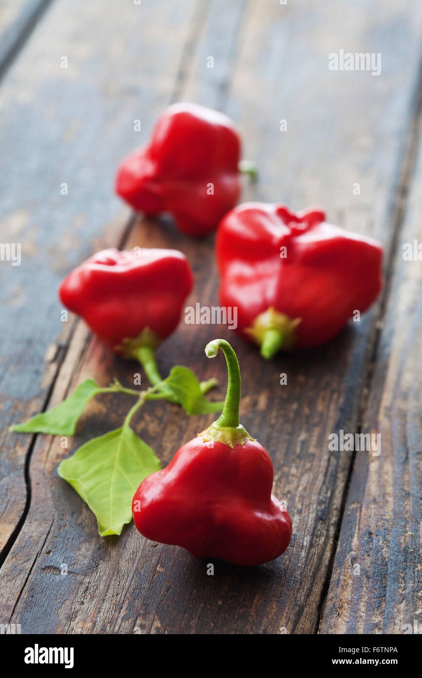 Red bell peppers chili hi-res stock photography and images - Alamy