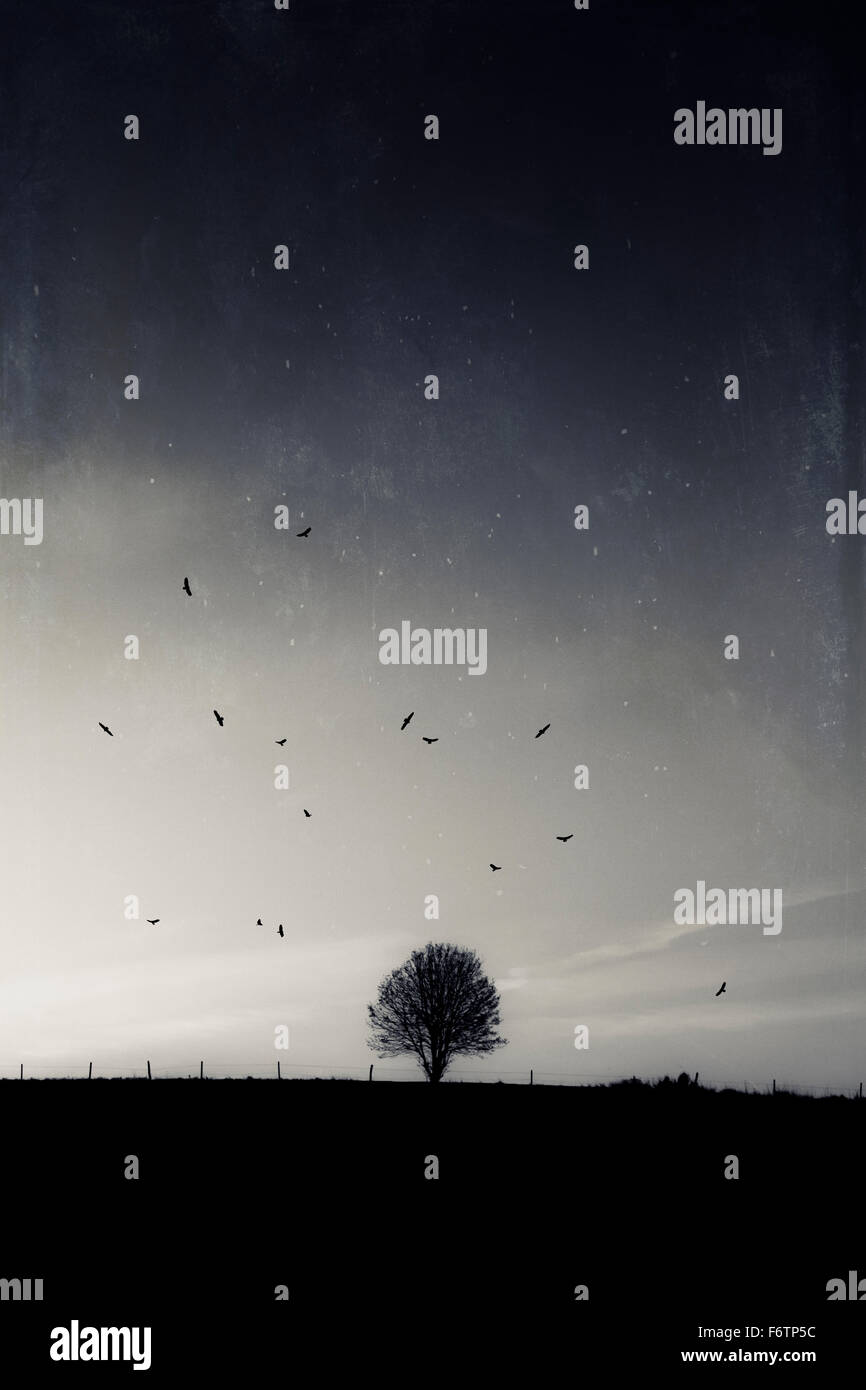 Tree and flying birds at night Stock Photo - Alamy