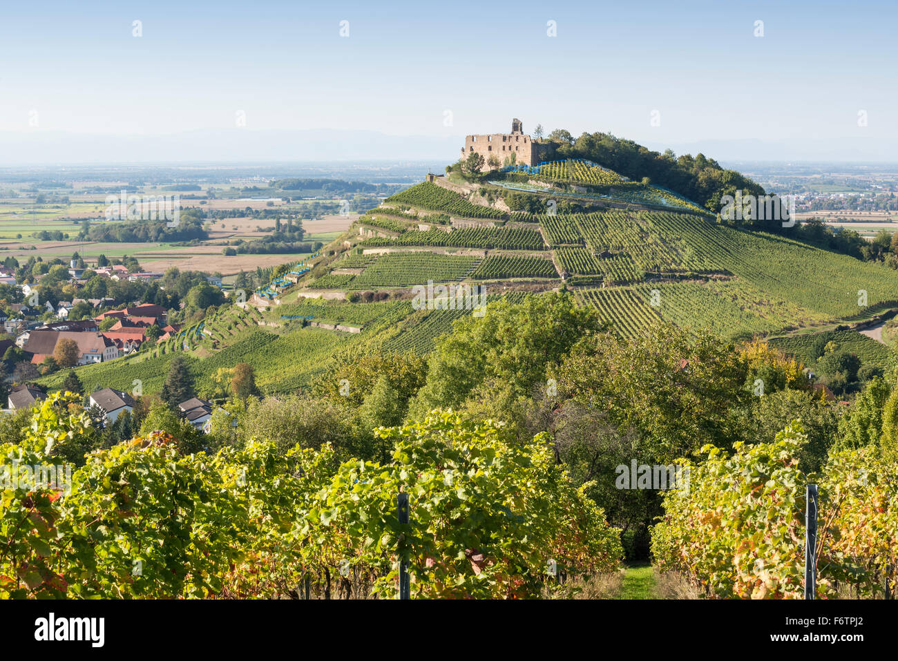 Germany, Baden-Wuerttemberg, Castle ruin Staufen Stock Photo - Alamy