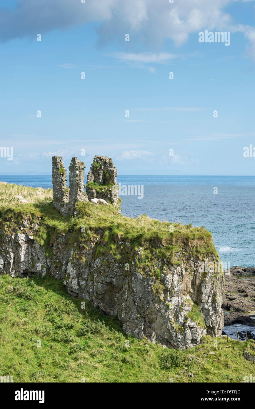 UK, Northern Ireland, County Antrim, Dunseverick Castle at the Atlantic ...