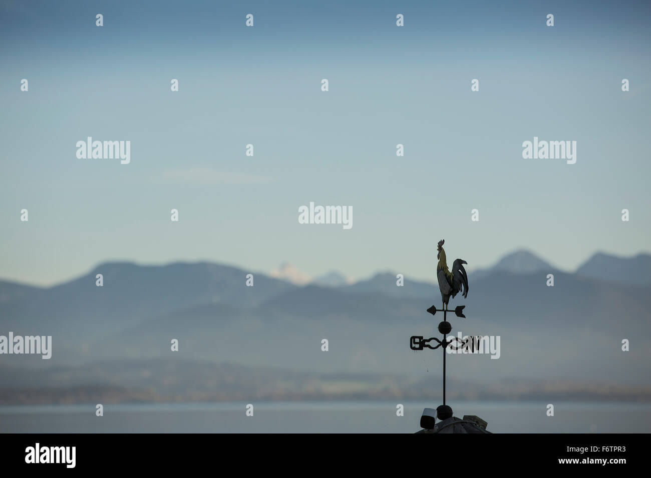 Germany, Bavaria, Chiemgau, Gstadt, Lake Chiemsee, weathercock Stock ...