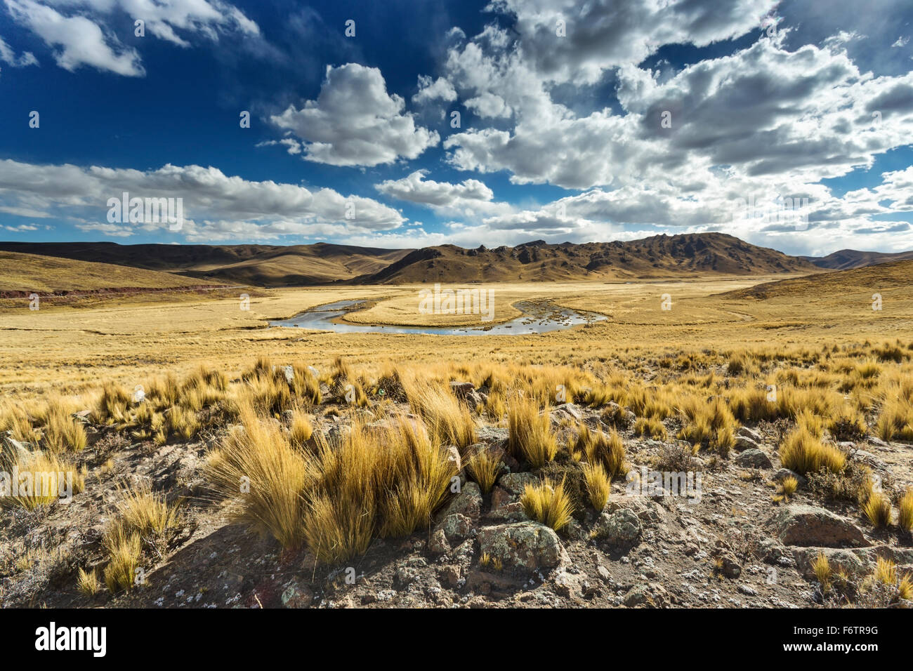 Altiplano steppe hi-res stock photography and images - Alamy