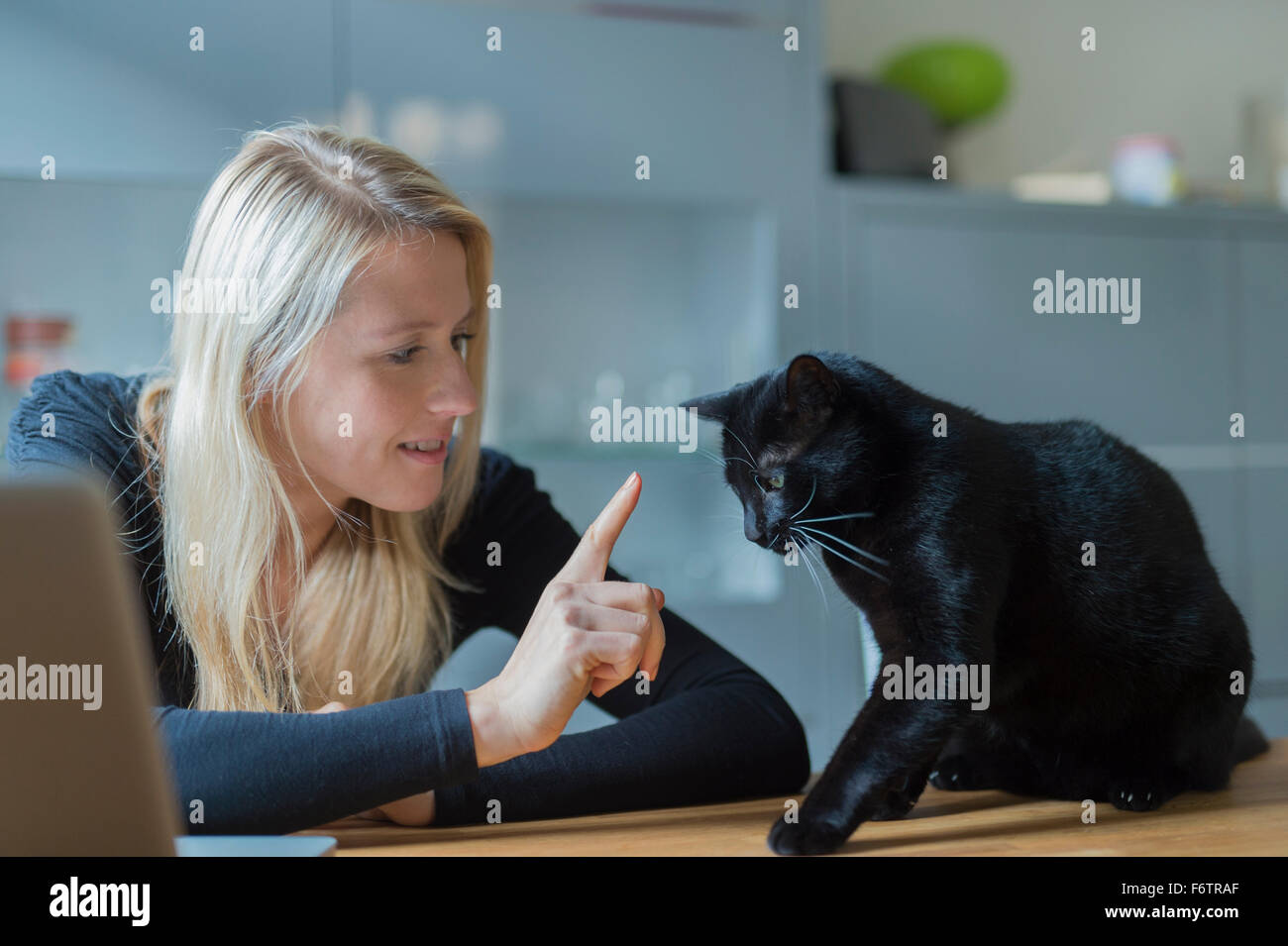 Woman reproving her cat sitting on dining table Stock Photo - Alamy
