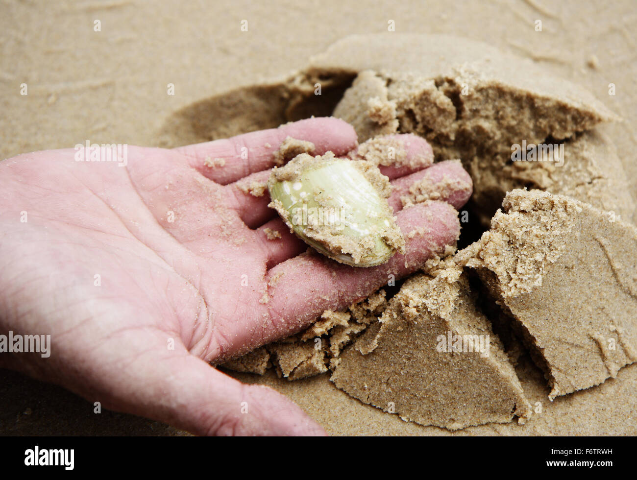 Pipi hi-res stock photography and images - Alamy