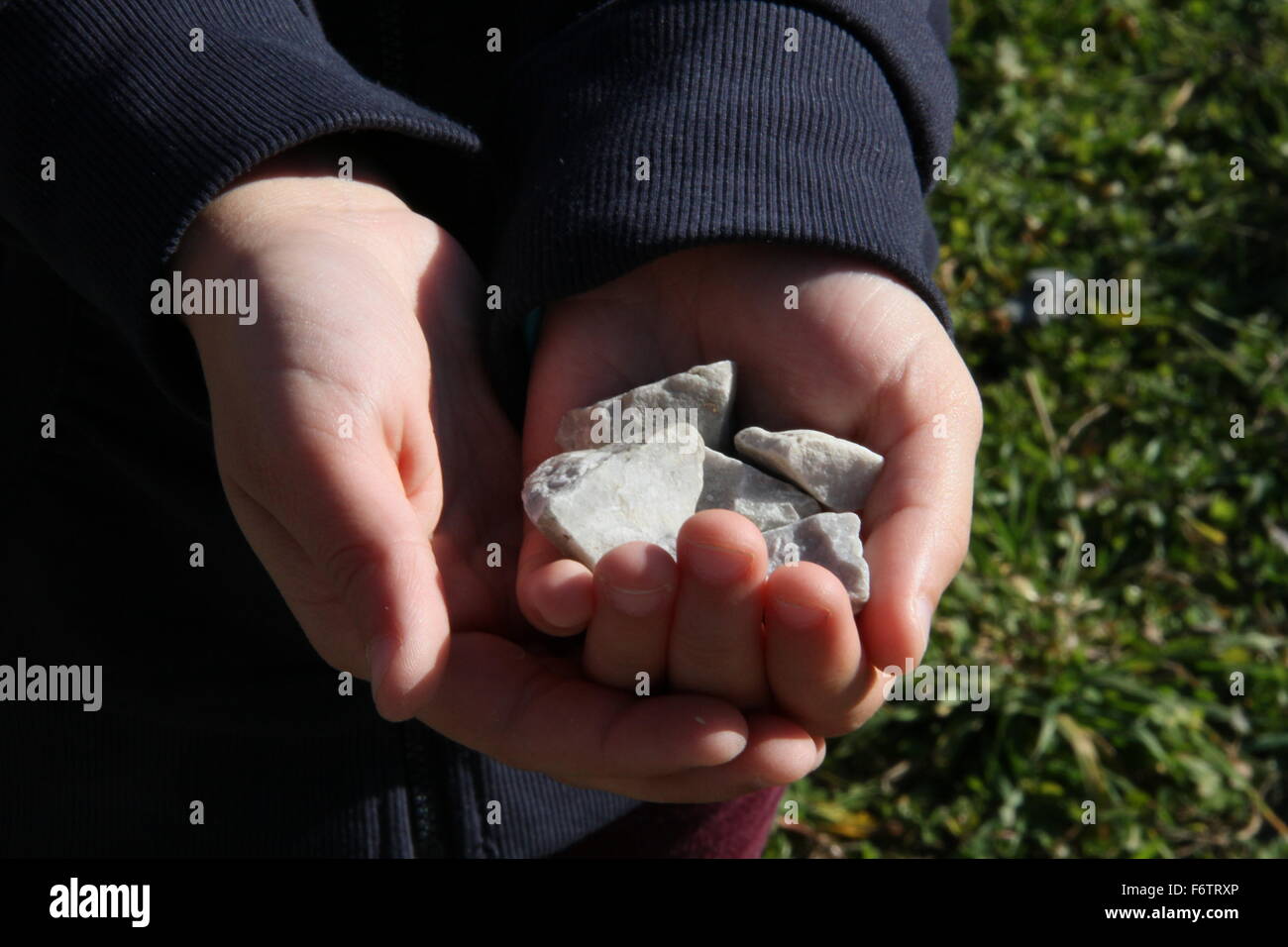 Small childish hands holding rocks Stock Photo - Alamy