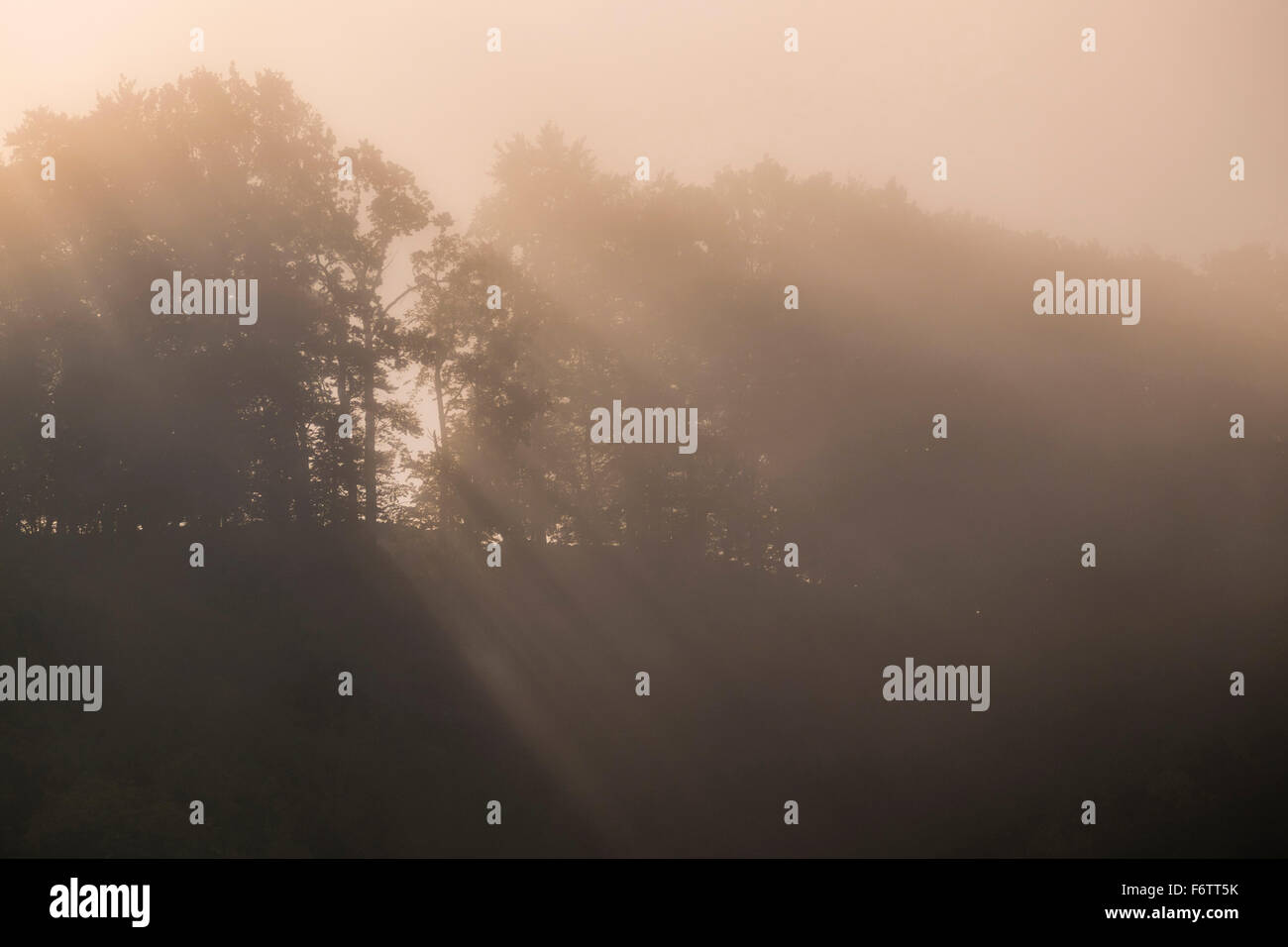 Wisp of fog Stock Photo - Alamy