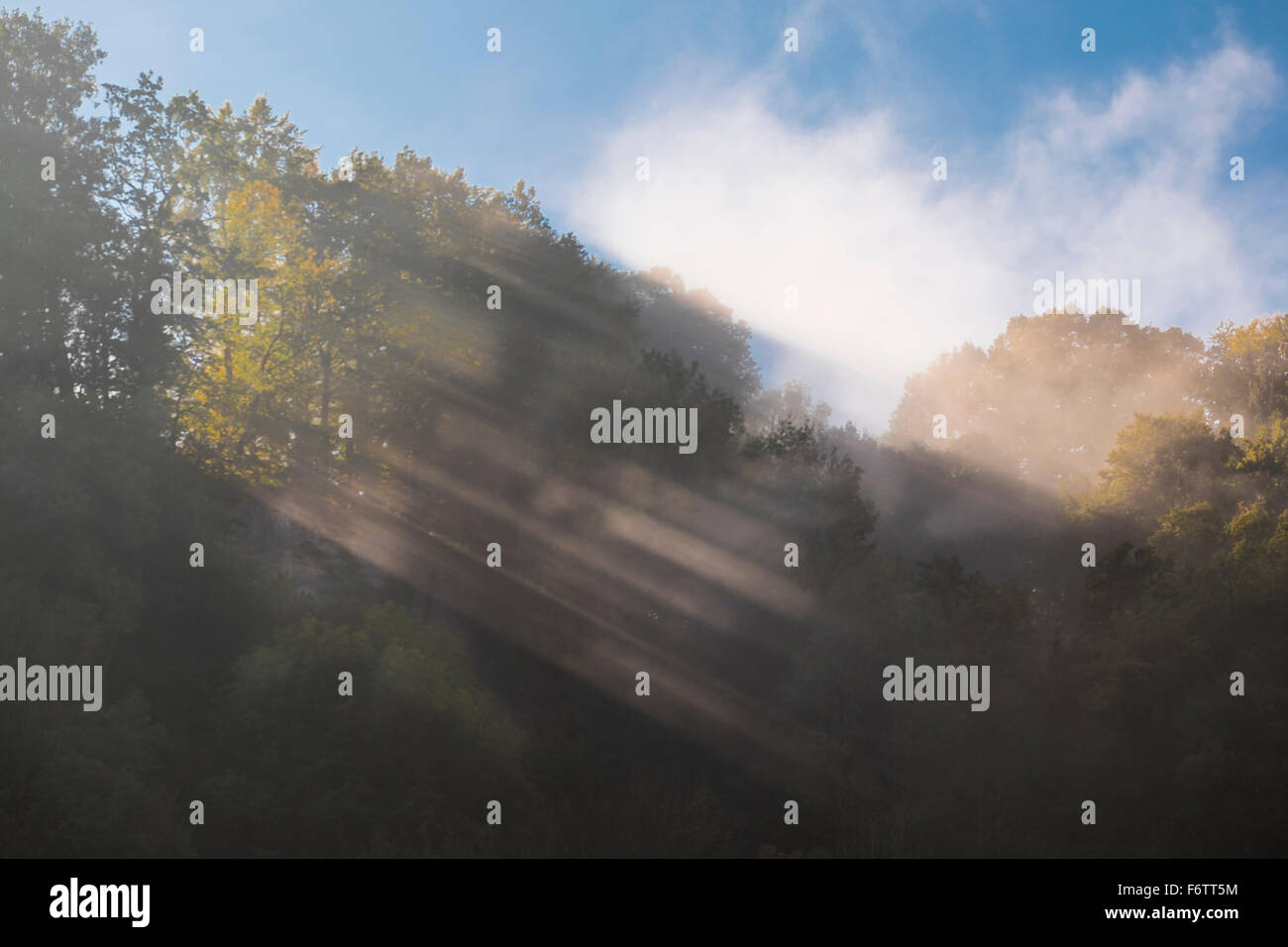 Germany, wisp of fog Stock Photo - Alamy