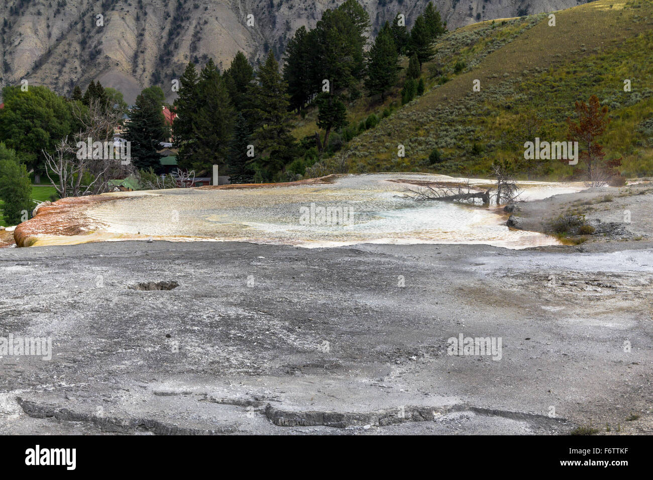 Bronze colored pool, Yellowstone Stock Photo - Alamy