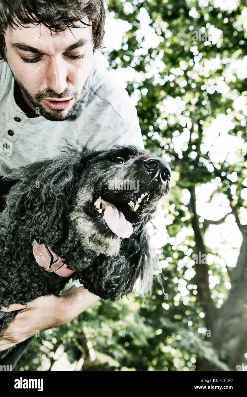 Man playing with his poodle in the garden Stock Photo - Alamy