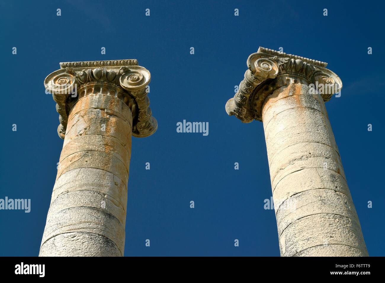 Ionic style column capitals at the Temple of Artemis. Ancient Greek ...