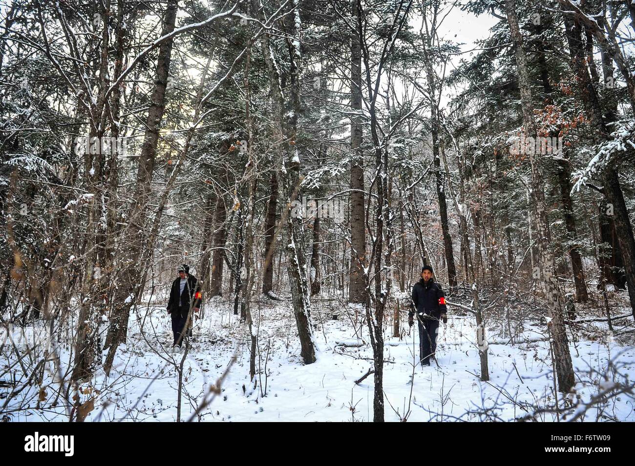 Antu, China's Jilin Province. 19th Nov, 2015. Rangers patrol in a ...
