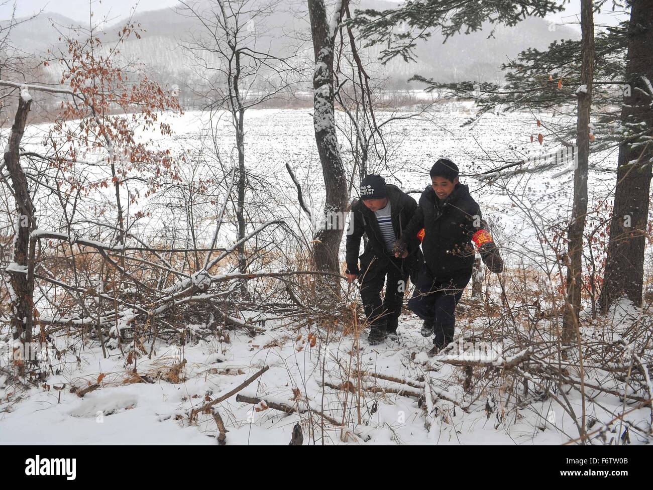 Antu, China's Jilin Province. 19th Nov, 2015. Rangers patrol in a ...