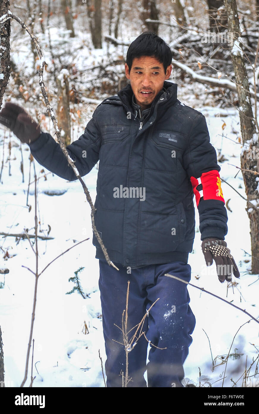 Antu, China's Jilin Province. 19th Nov, 2015. A ranger patrols in a ...