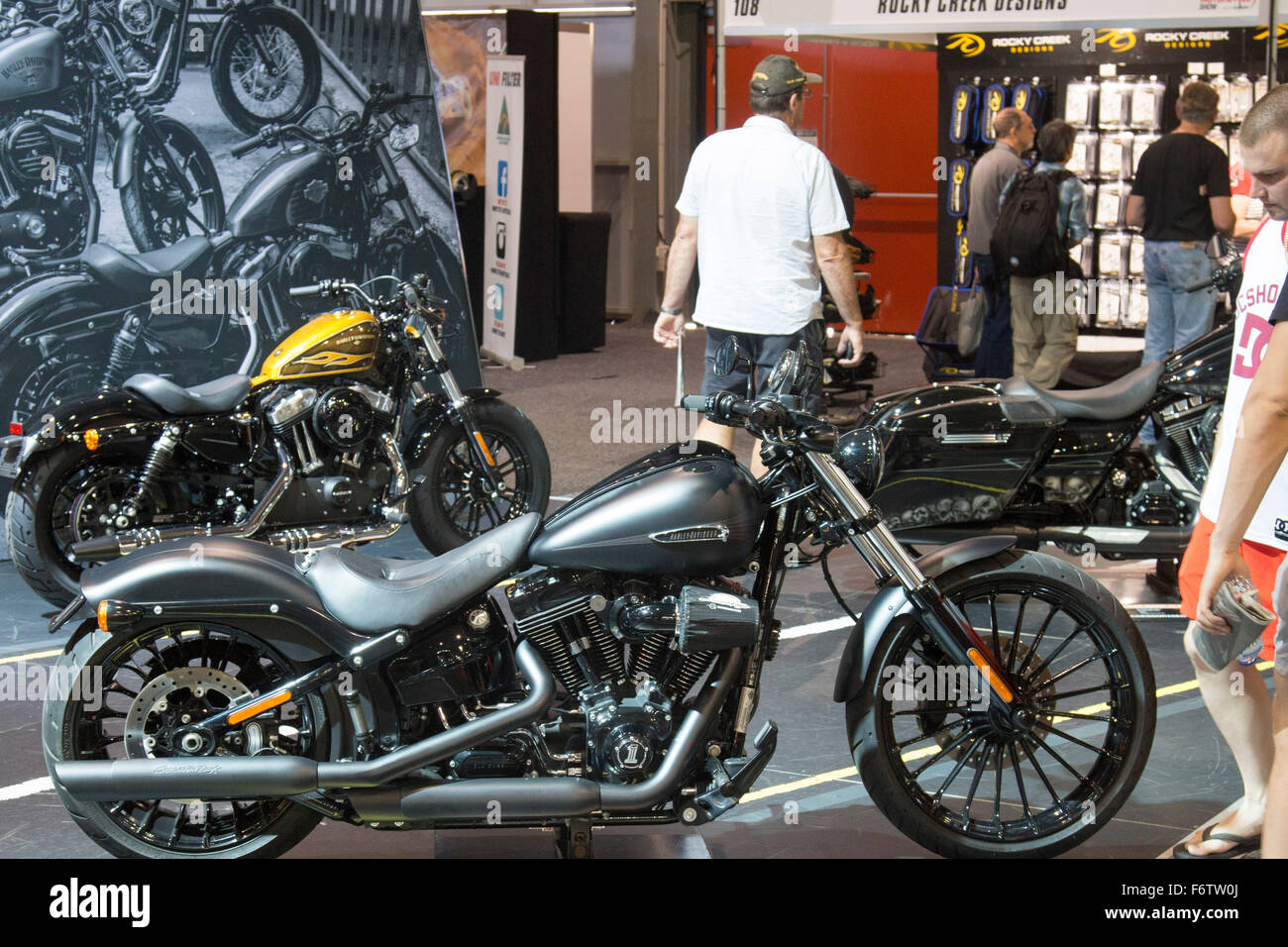 Harley davidson cruiser bikes hi-res stock photography and images - Alamy
