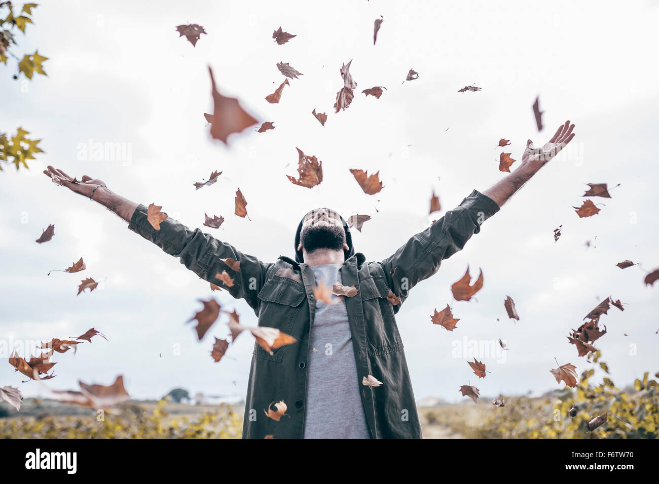 Man Throwing Leaves Into Air High Resolution Stock Photography and ...