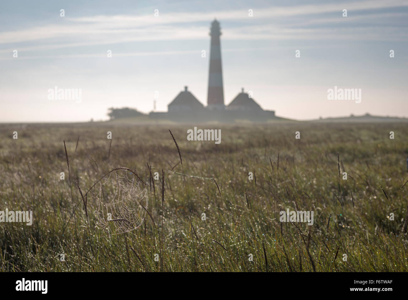 Spider web structure hi-res stock photography and images - Alamy