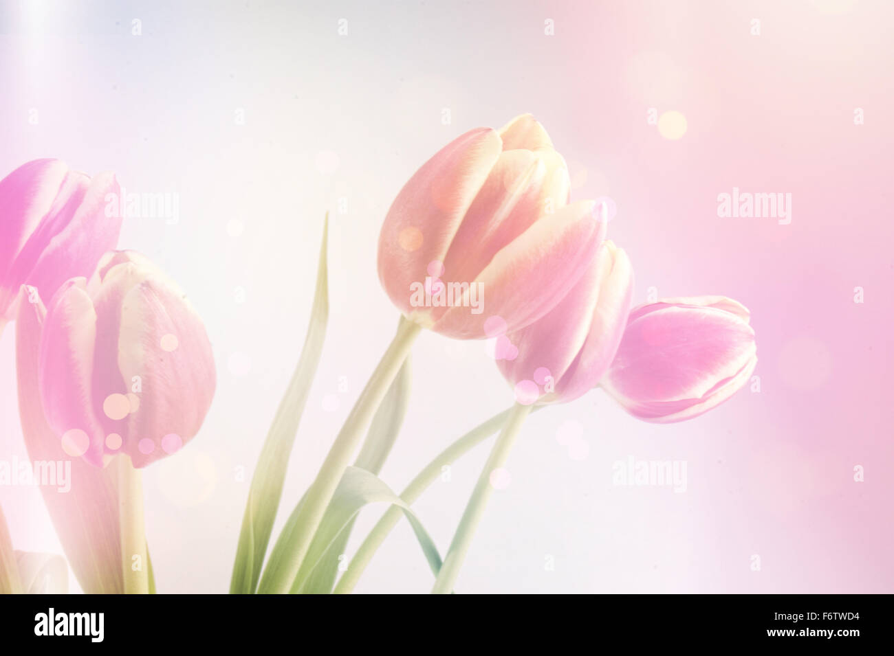 Vintage floral photograph hi-res stock photography and images - Alamy