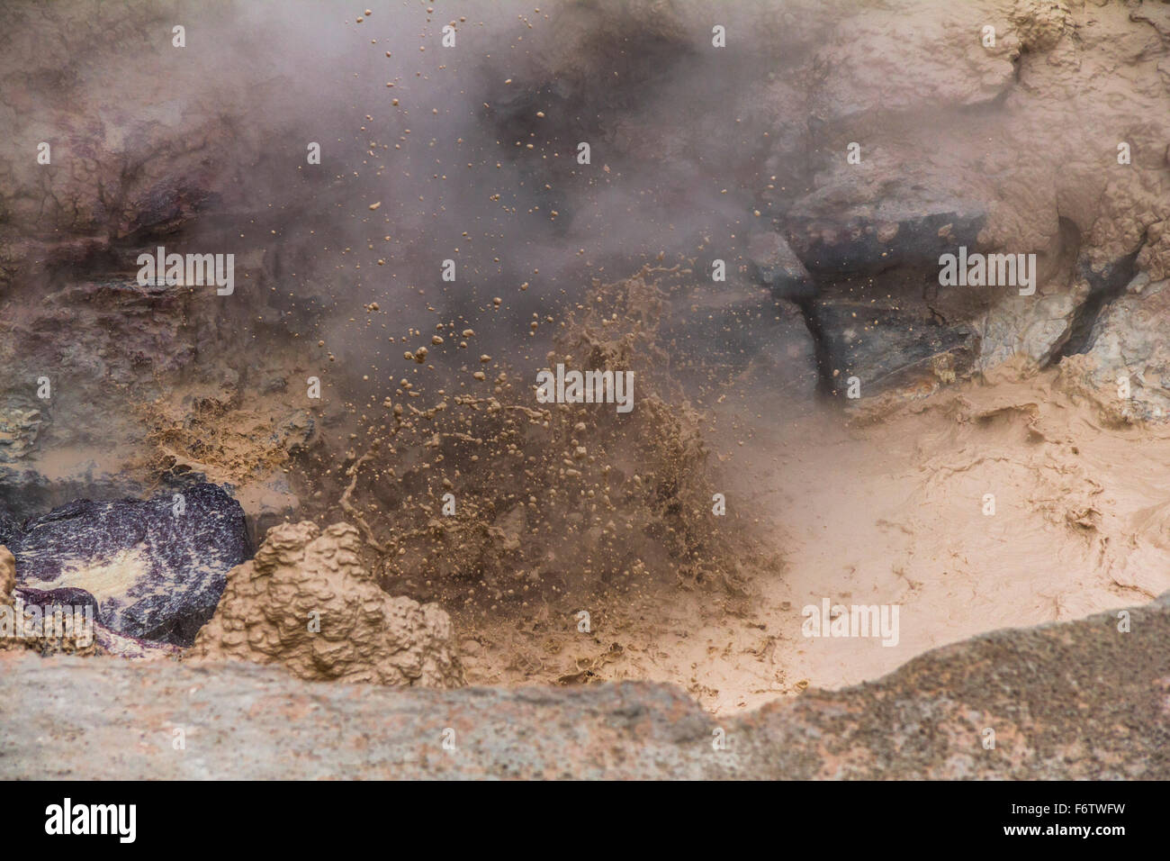 Bubbling Mud Hole in Yellowstone Stock Photo - Alamy