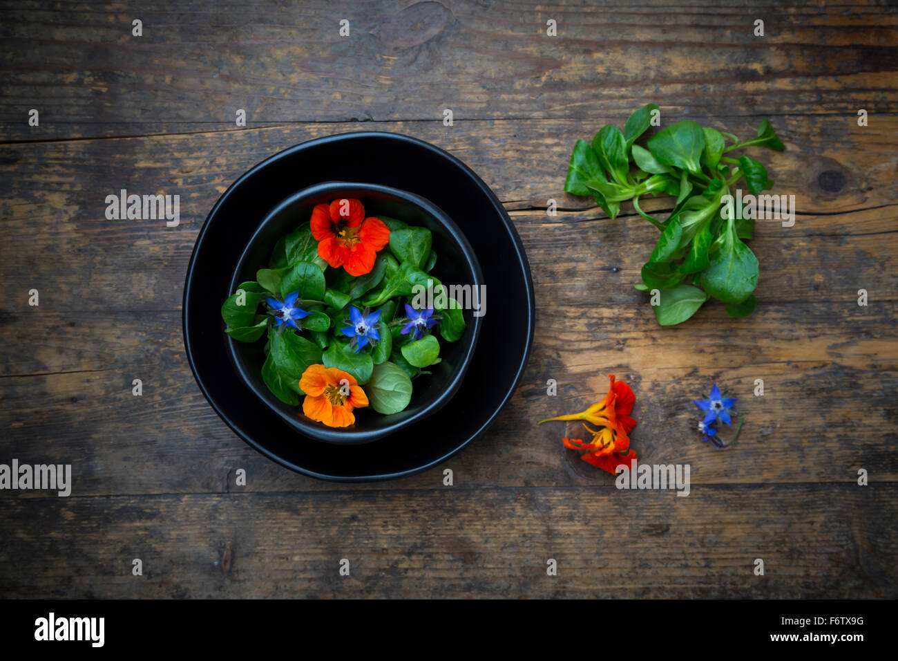 Lambs Cress High Resolution Stock Photography and Images - Alamy