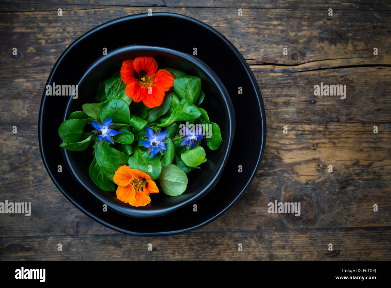 Bowl of lamb's lettuce with blossoms of borage and Indian cress Stock ...
