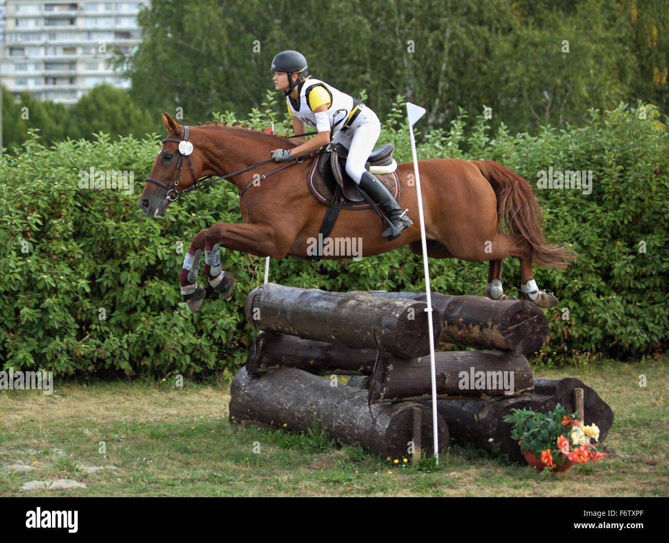 Three day event rider taking part in the Cross country Phase Stock ...