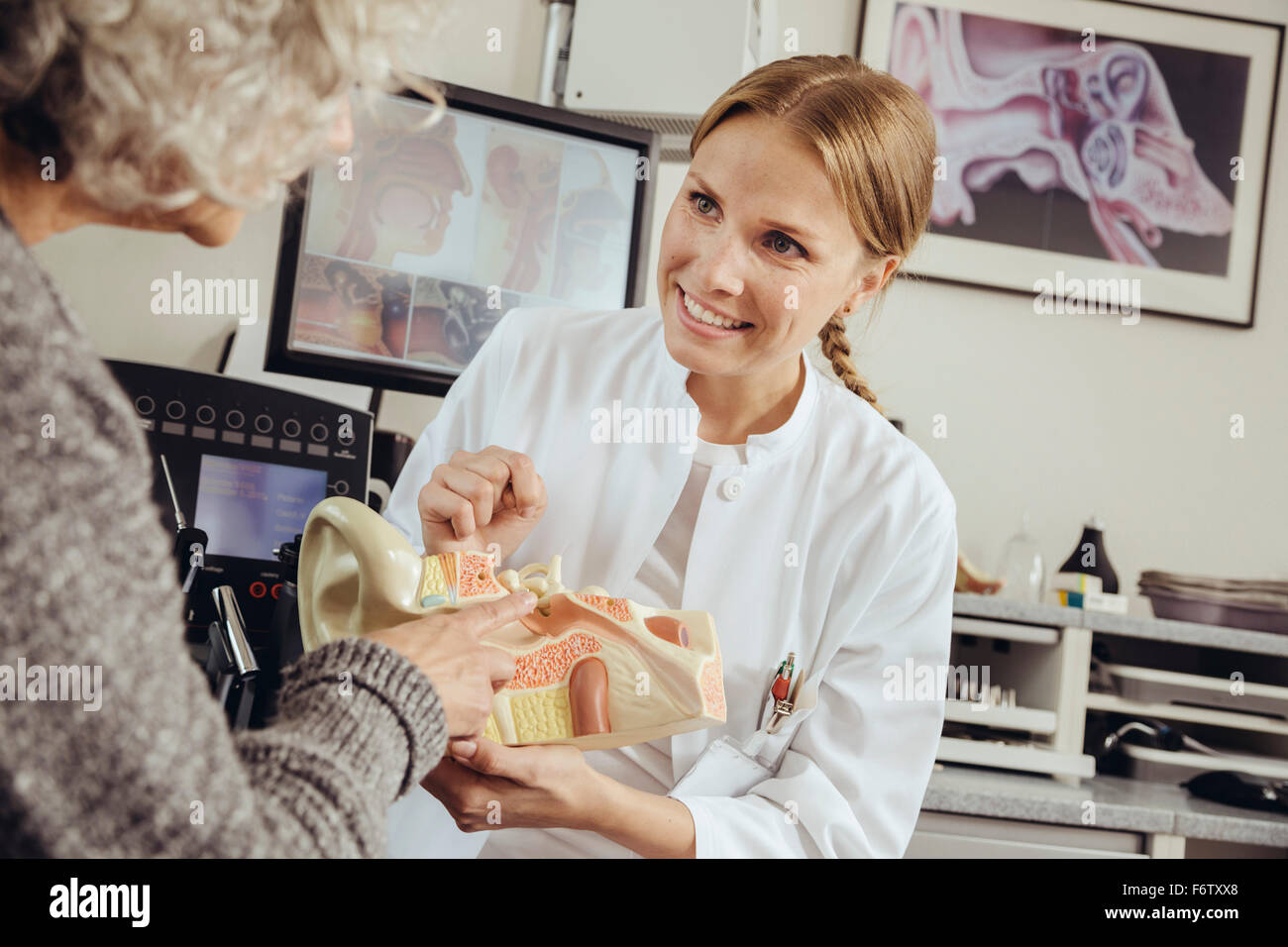 Female doctor explaining functions of the ear according to a model to a ...
