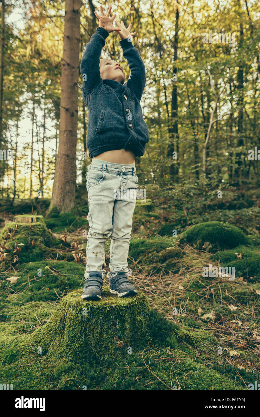 Little boy standing on tree stump reaching up Stock Photo - Alamy