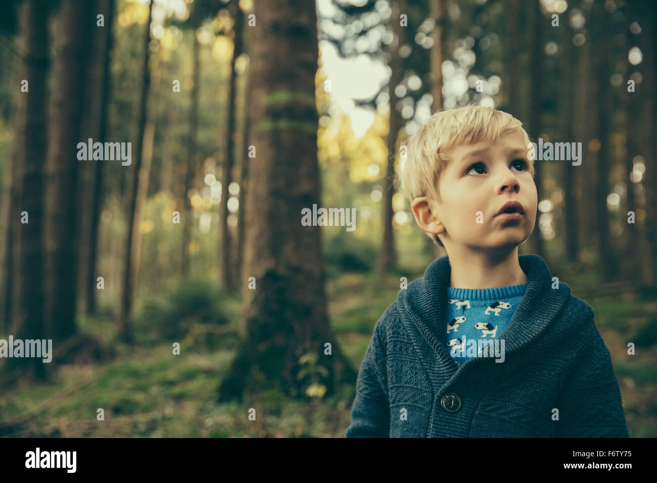 Looking in wonder hi-res stock photography and images - Alamy