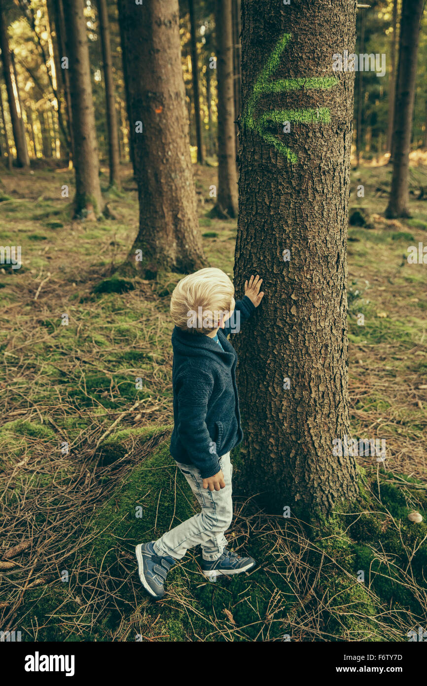 Boy touching tree trunk hi-res stock photography and images - Alamy