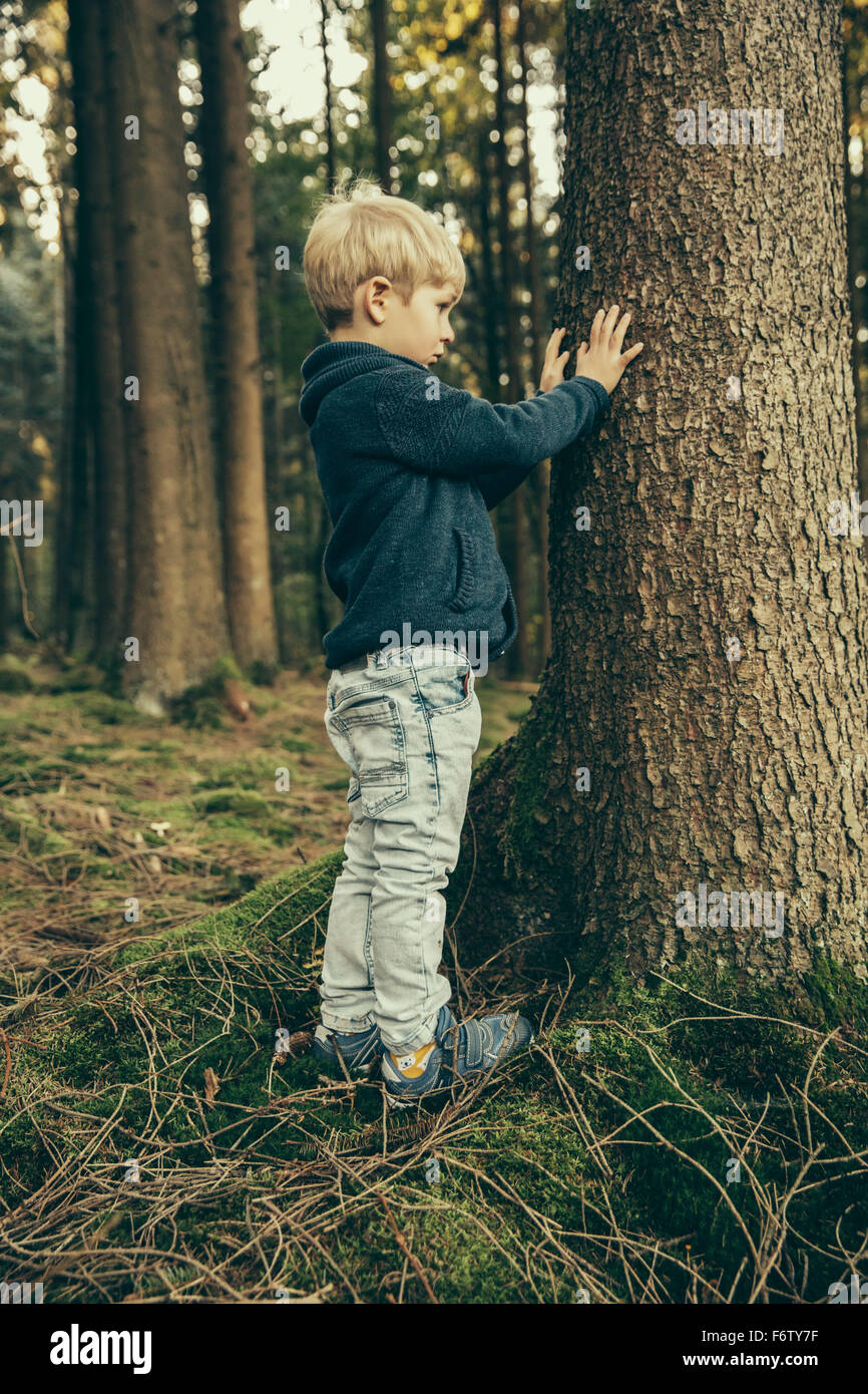Boy touching tree trunk hi-res stock photography and images - Alamy